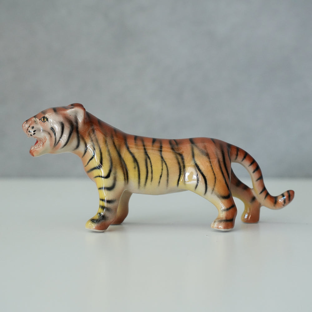 Chiang Mai Tiger