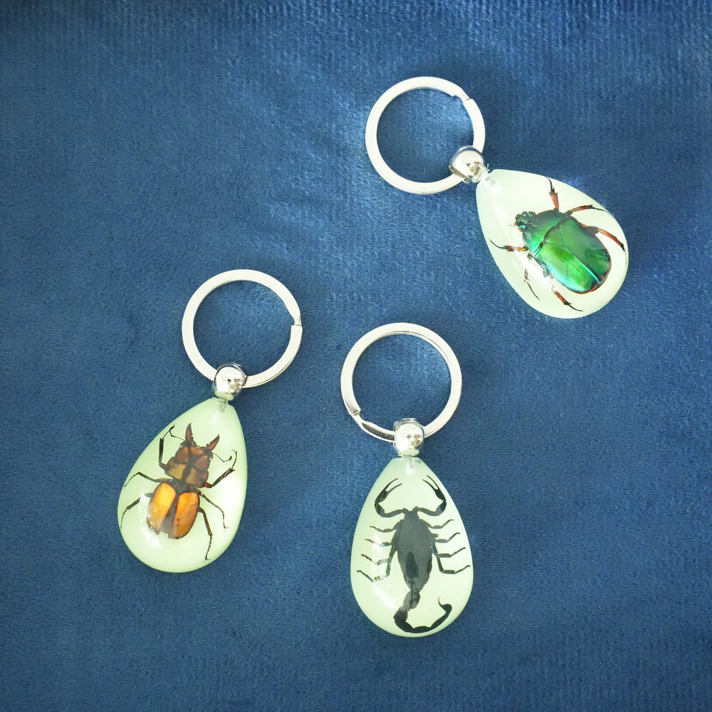 TEAR DROP KEYCHAIN GID